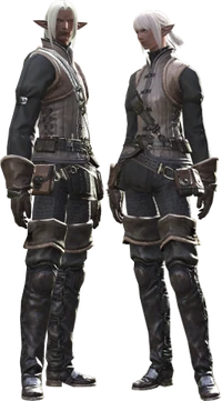 Elezen - Final Fantasy XIV: A Realm Reborn (FFXIV) Wiki