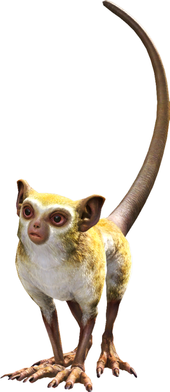 Opo-opo - Final Fantasy XIV: A Realm Reborn (FFXIV) Wiki