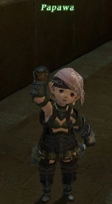 Papawa - Final Fantasy XIV: A Realm Reborn (FFXIV) Wiki