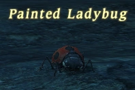 Painted Ladybug - Final Fantasy XIV: A Realm Reborn (FFXIV) Wiki