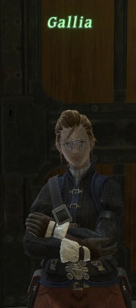 Gallia - Final Fantasy XIV: A Realm Reborn (FFXIV) Wiki
