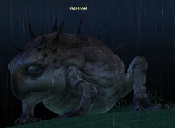 Gigantoad - Final Fantasy XIV: A Realm Reborn (FFXIV) Wiki