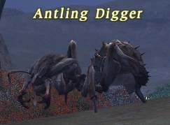 Antling Digger - Final Fantasy XIV: A Realm Reborn (FFXIV) Wiki