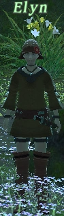 Elyn - Final Fantasy XIV: A Realm Reborn (FFXIV) Wiki