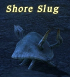 Shore Slug - Final Fantasy XIV: A Realm Reborn (FFXIV) Wiki
