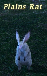 Plains Rat - Final Fantasy XIV: A Realm Reborn (FFXIV) Wiki