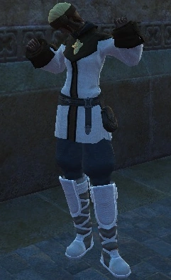 Gil-digging Mistress - Final Fantasy XIV: A Realm Reborn (FFXIV) Wiki