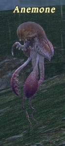 Anemone - Final Fantasy XIV: A Realm Reborn (FFXIV) Wiki