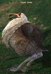 Game Dodo - Final Fantasy XIV: A Realm Reborn (FFXIV) Wiki