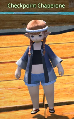 Checkpoint Chaperone - Final Fantasy XIV: A Realm Reborn (FFXIV) Wiki