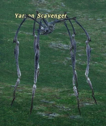 Yarzon Scavanger - Final Fantasy XIV: A Realm Reborn (FFXIV) Wiki