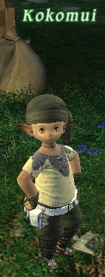 Kokomui - Final Fantasy XIV: A Realm Reborn (FFXIV) Wiki