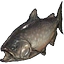 Takitaro - Final Fantasy XIV: A Realm Reborn (FFXIV) Wiki