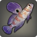 Striped Goby - Final Fantasy XIV: A Realm Reborn (FFXIV) Wiki