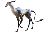Antelope - Final Fantasy XIV: A Realm Reborn (FFXIV) Wiki