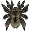 Tarantula - Final Fantasy XIV: A Realm Reborn (FFXIV) Wiki