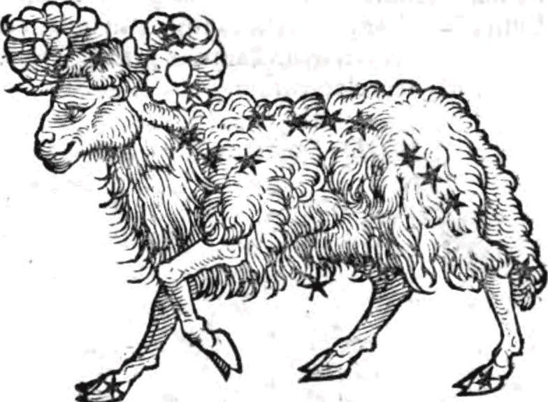 Il montone | Fiabe Wiki | Fandom