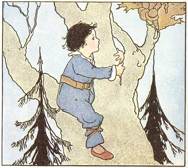 Pollicino (personaggio) | Fiabe Wiki | Fandom