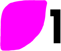 RBC1 | Fic Wiki | Fandom