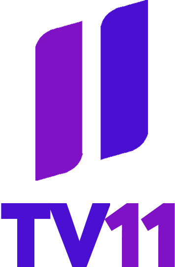 GSTV | Fic Wiki | Fandom