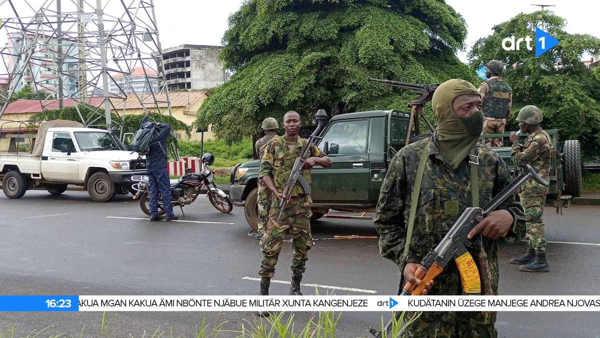 DRT1 | Fic Wiki | Fandom