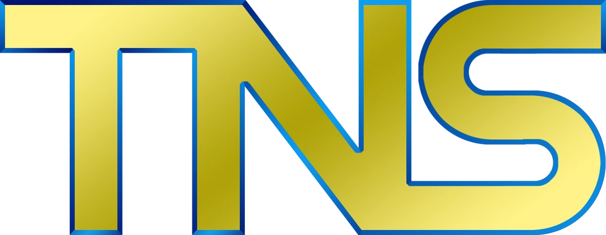 TNS | Fic Wiki | Fandom