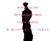 The Boiled One | Ficción Sin Límites Wiki | Fandom