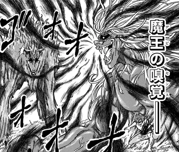 Toriko (Post-Timeskip) | Ficción Sin Límites Wiki | Fandom