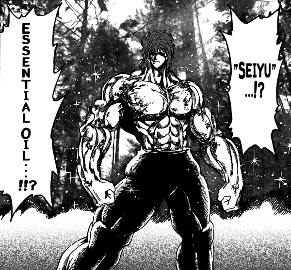 Toriko (Pre-Timeskip) | Ficción Sin Límites Wiki | Fandom