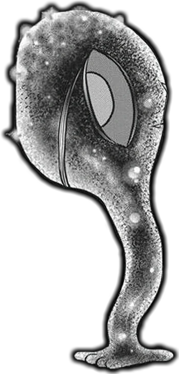 Mars-san | Ficción Sin Límites Wiki | Fandom