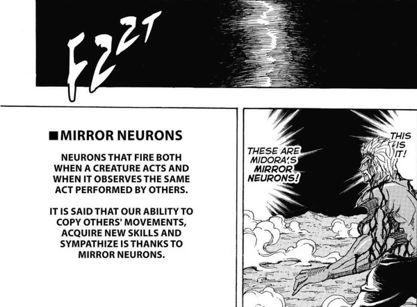 Midora | Ficción Sin Límites Wiki | Fandom