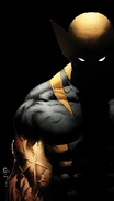 Wolverine (Tierra-616) | Ficción Sin Límites Wiki | Fandom