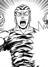 One Punch Man | Ficción Sin Límites Wiki | Fandom