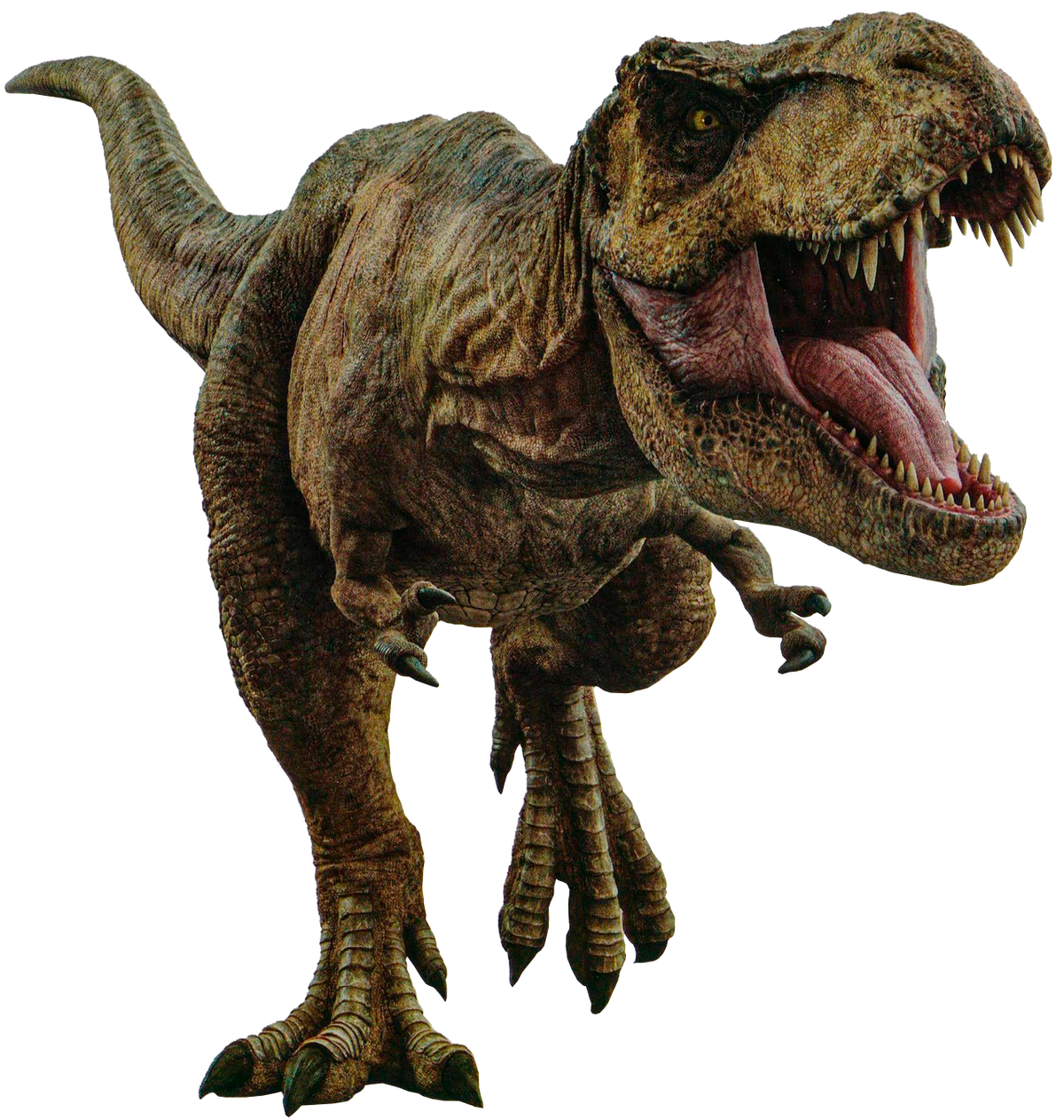 Tyrannosaurus 