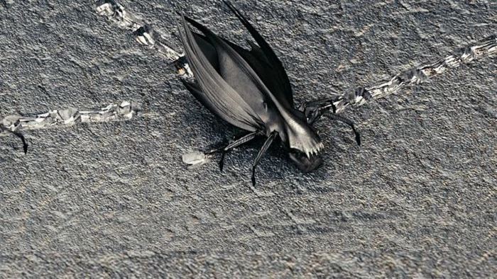 GORT (2008) | Ficción Sin Límites Wiki | Fandom