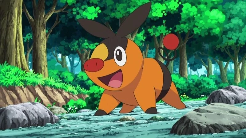 Tepig Pokemon