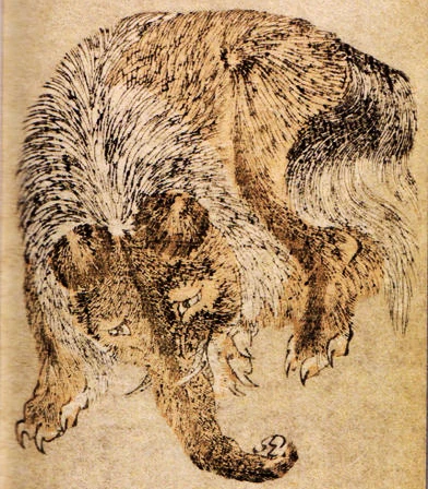 Baku | FicSpecies | Fandom