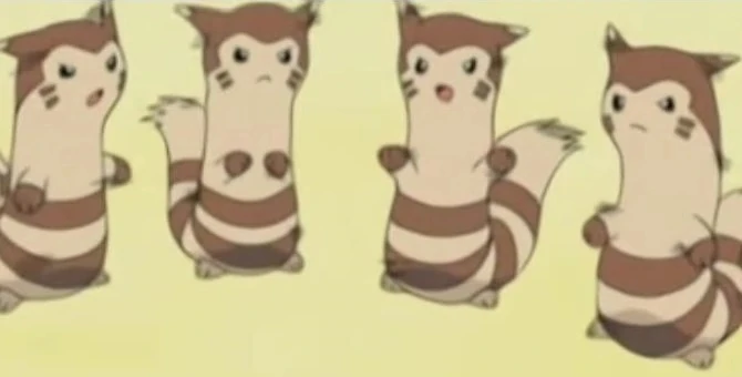 Furret | FicSpecies | Fandom