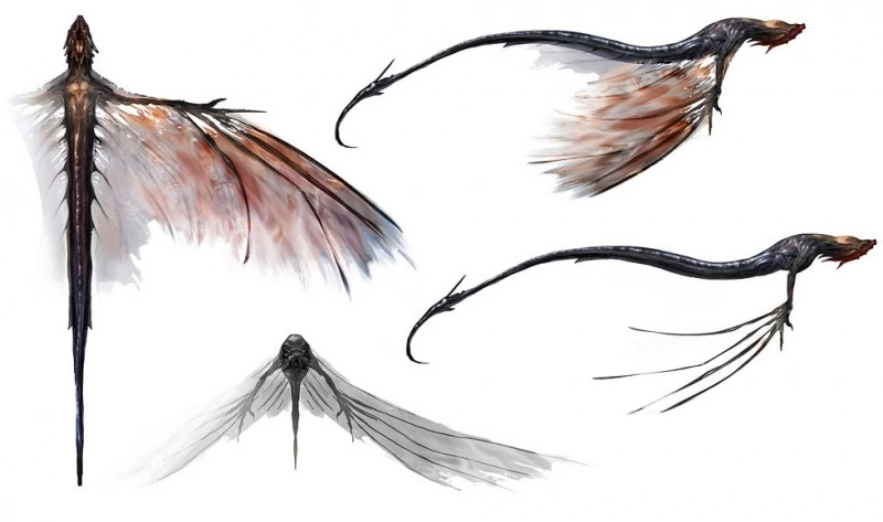 Rakk | FicSpecies | Fandom