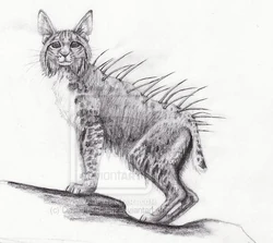 Splintercat | FicSpecies | Fandom