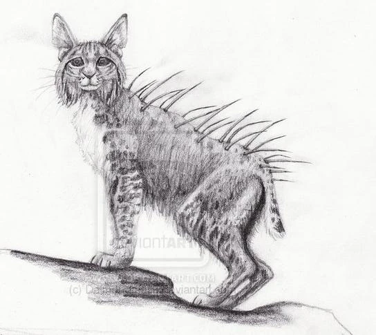 Splintercat | FicSpecies | Fandom
