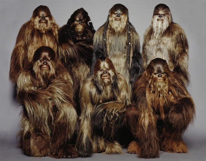 Wookiee | FicSpecies | Fandom