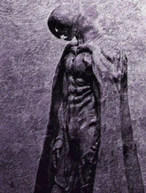 Griffith | Wiki Fiction Battlefield | Fandom