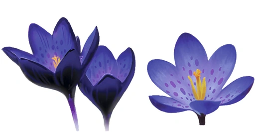 Night howler | Fiction Taxonomy Wiki | Fandom