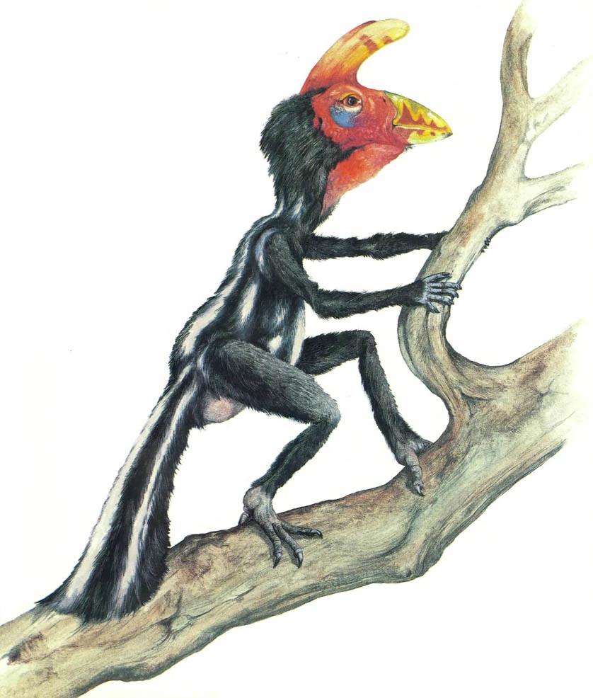 Crackbeak | Fiction Taxonomy Wiki | Fandom