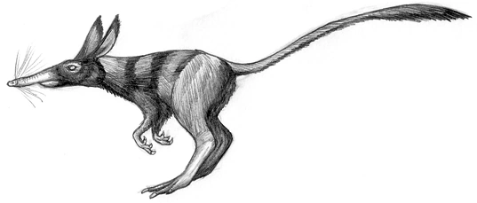 Harlequin ephru | Fiction Taxonomy Wiki | Fandom