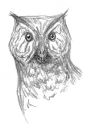 Bob | Fiction Taxonomy Wiki | Fandom