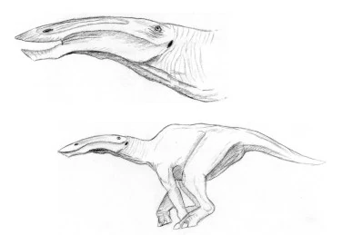 Snufflelump | Fiction Taxonomy Wiki | Fandom