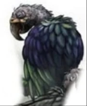 Green Carrion Parrot | Fiction Taxonomy Wiki | Fandom