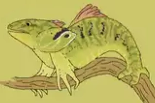 Common Tree Tribbet | Fiction Taxonomy Wiki | Fandom